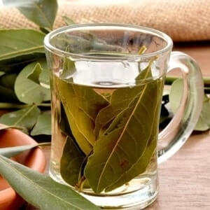 Buy Bay Leaf Tea Online at Best Prices on Teacurry.com