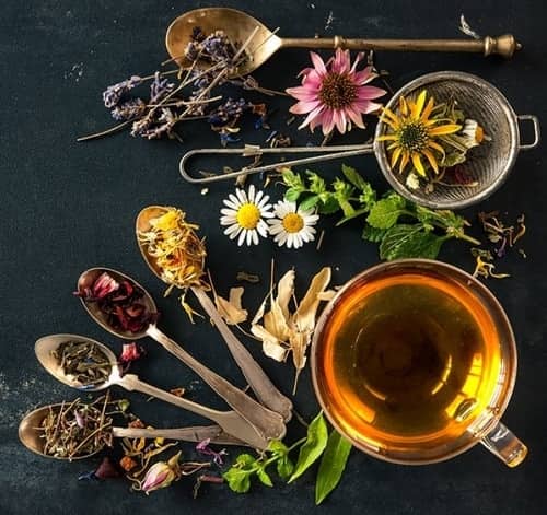 Buy Wellness Tea Online - Comfort Wellness Tea Bags and Wellbeing Tea