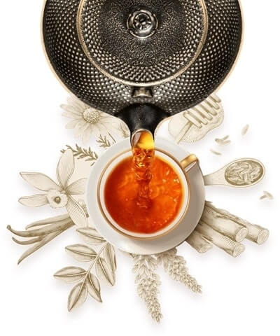 Teacurry Best Selling Wellness and Herbal Teas - Choose from the Best